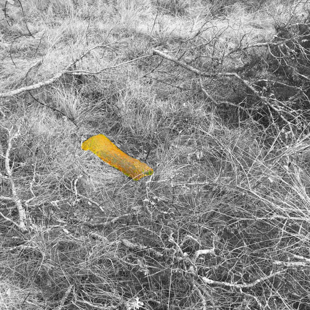 Covert Solar Bark – Intelligent Surveillance Corp.